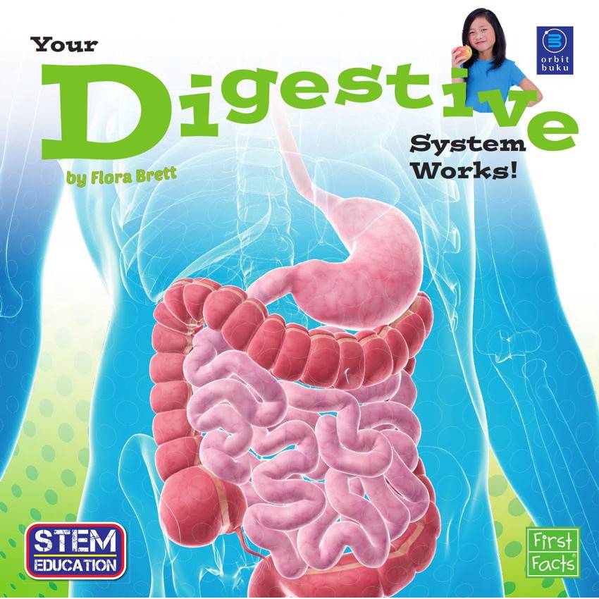 First Facts - Your Digestive System Works!